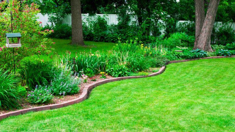 The Complete Seasonal Lawn Care Calendar: Year-Round Tips for a Healthy ...