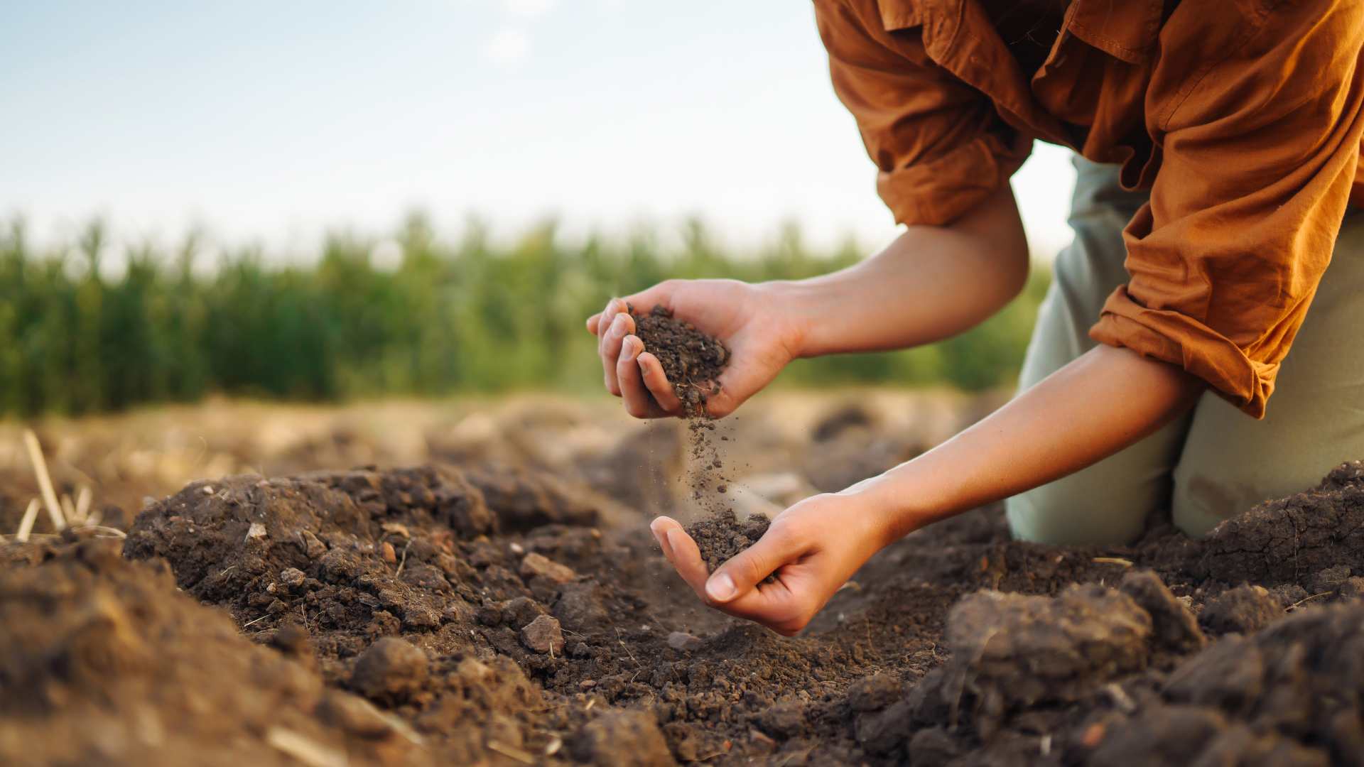 Soil Erosion Control in Mount Prospect, IL | A&N Outdoor Services